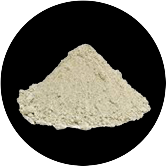 S.N. Pandey & Company | Shop